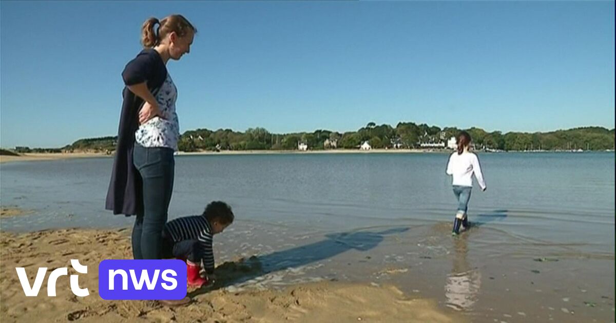 Missing limb births in France: Belgian mother speaks | VRT NWS: news