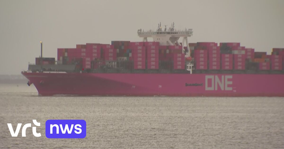 Un porte-conteneurs rose fluo en route vers Anvers | VRT NWS: le site d ...
