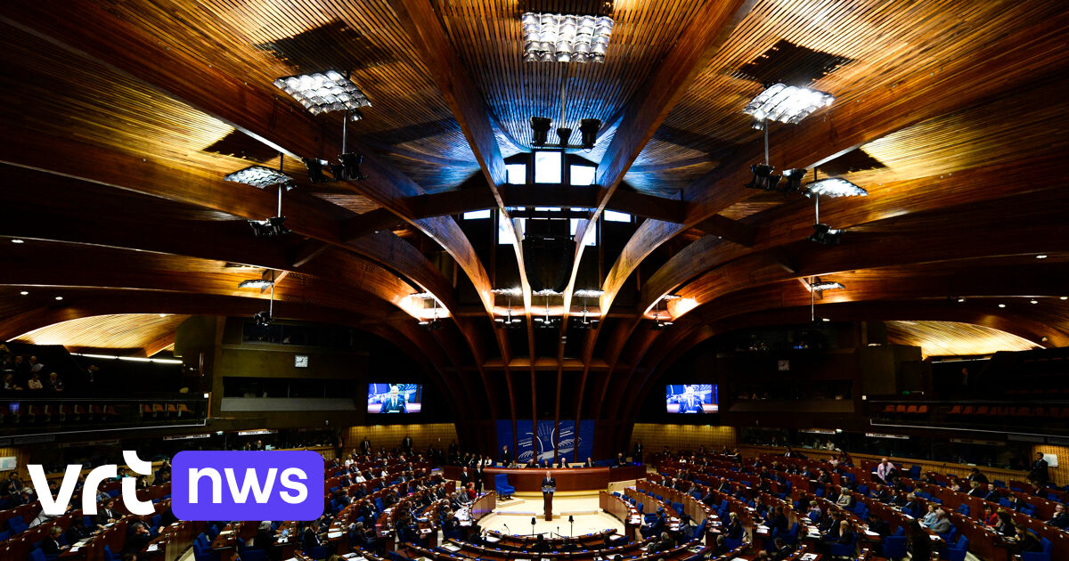 Wat is de Raad van Europa, de instelling waar Reynders binnenkort ...
