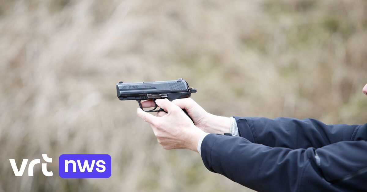 Inbrekers neerschieten is niet langer "buitensporig geweld" in Italië | VRT NWS: nieuws