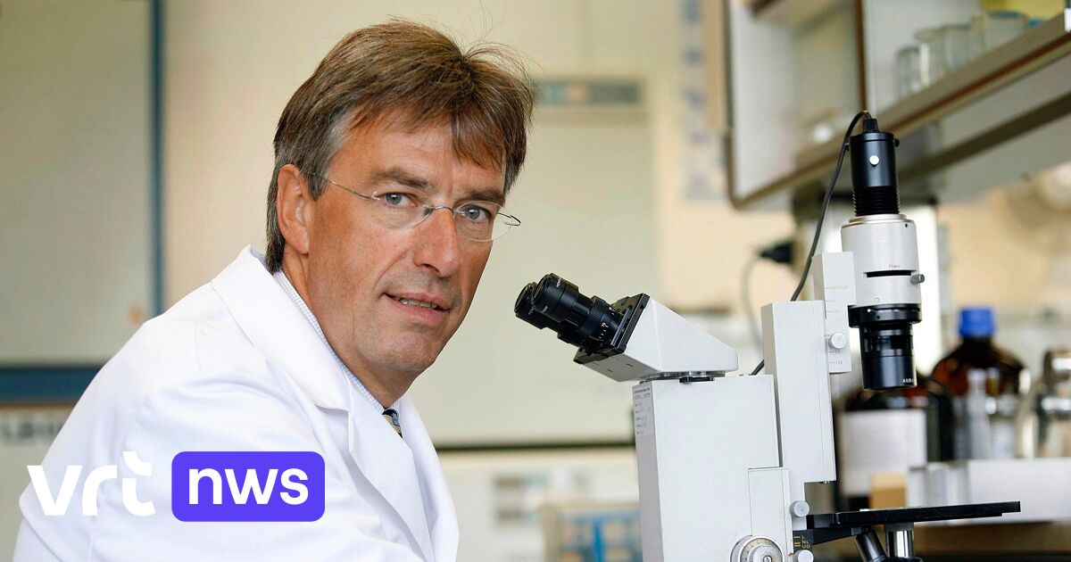 “Virus was probably present among the young much earlier ” | VRT NWS: news