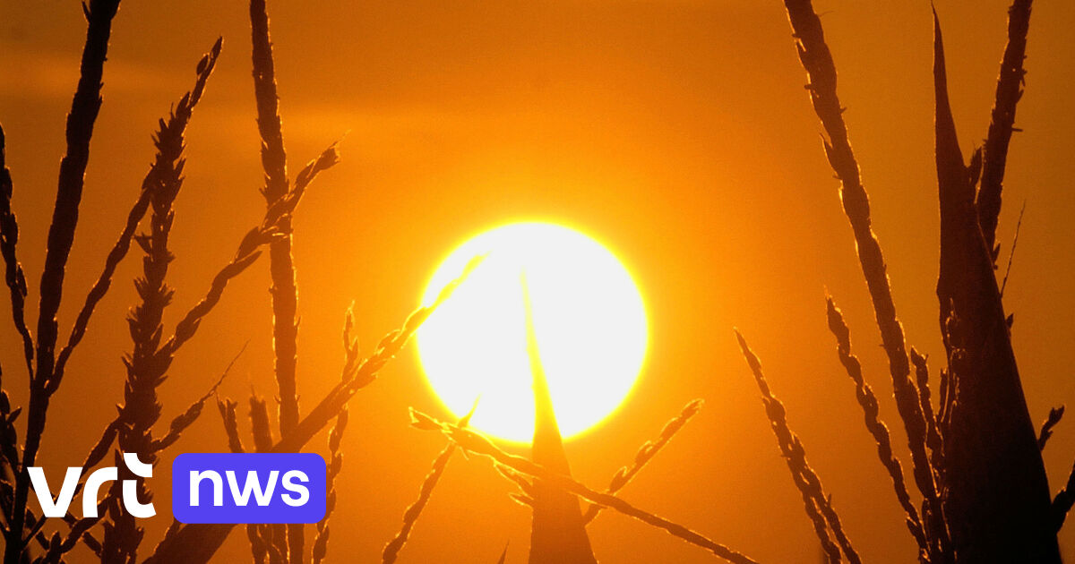 After the rain, blistering hot weather coming up next week | VRT NWS: news