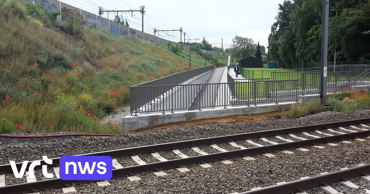 Nieuwe fiets- en voetgangerstunnel in Ekeren geopend | VRT NWS Nieuws