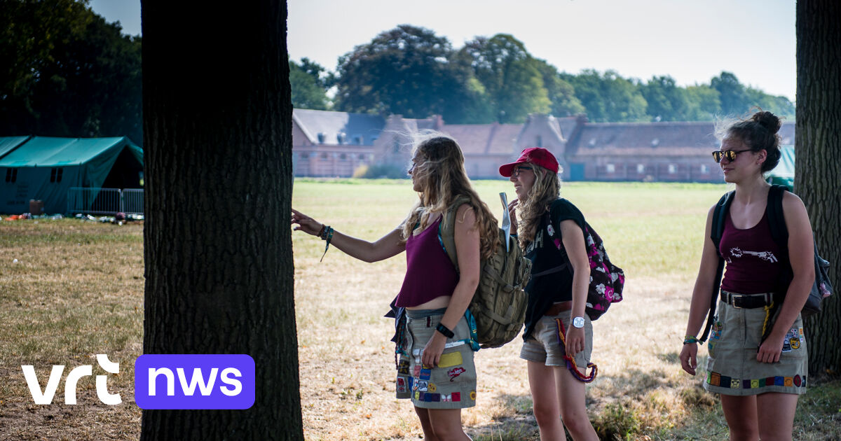 Processierups bezorgt Chiro jeuk en uitslag op het domein in Hofstade ...