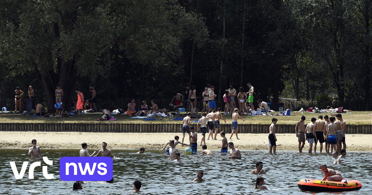 Blauwalgen weg uit Plas van Rotselaar, je mag er opnieuw zwemmen | VRT ...