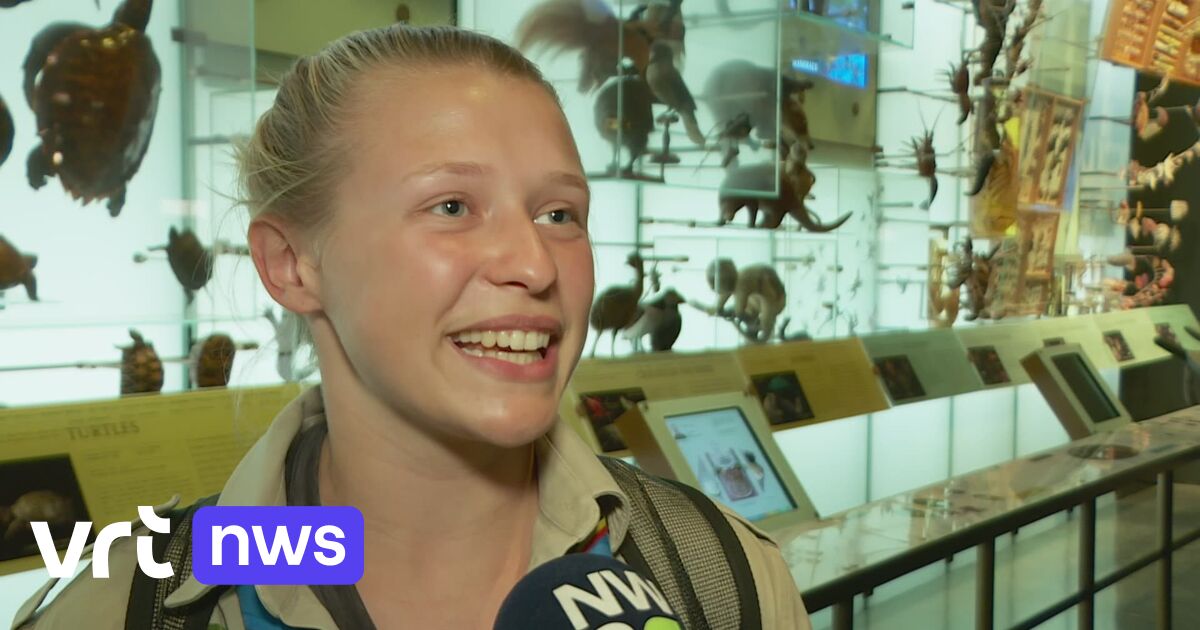 Belgian scouts in USA for World Jamboree | VRT NWS: news