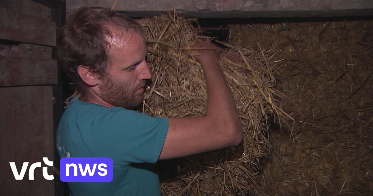 Can ice survive the summer in an ice cellar? | VRT NWS: news