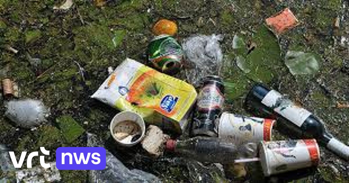 Antwerp calls on its residents not to leave litter behind in parks ...
