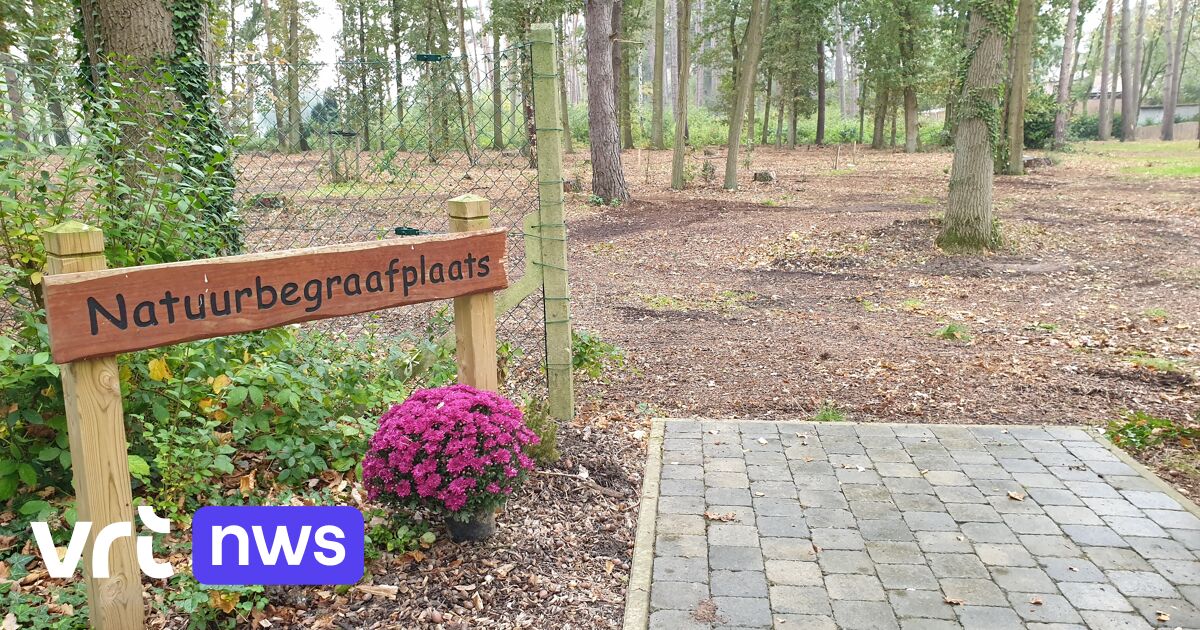 Groen wil dat er natuurbegraafplaats komt in Diest: "Mensen worden ...