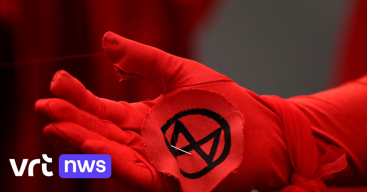 Medeoprichter radicale klimaatbeweging Extinction Rebellion: Medeoprichter radicale klimaatbeweging Extinction Rebellion: