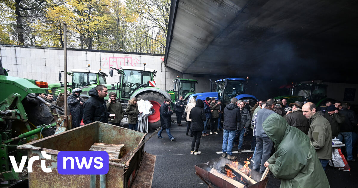 Franse boeren houden dag lang ring rond Parijs bezet: "Onze toekomst ...