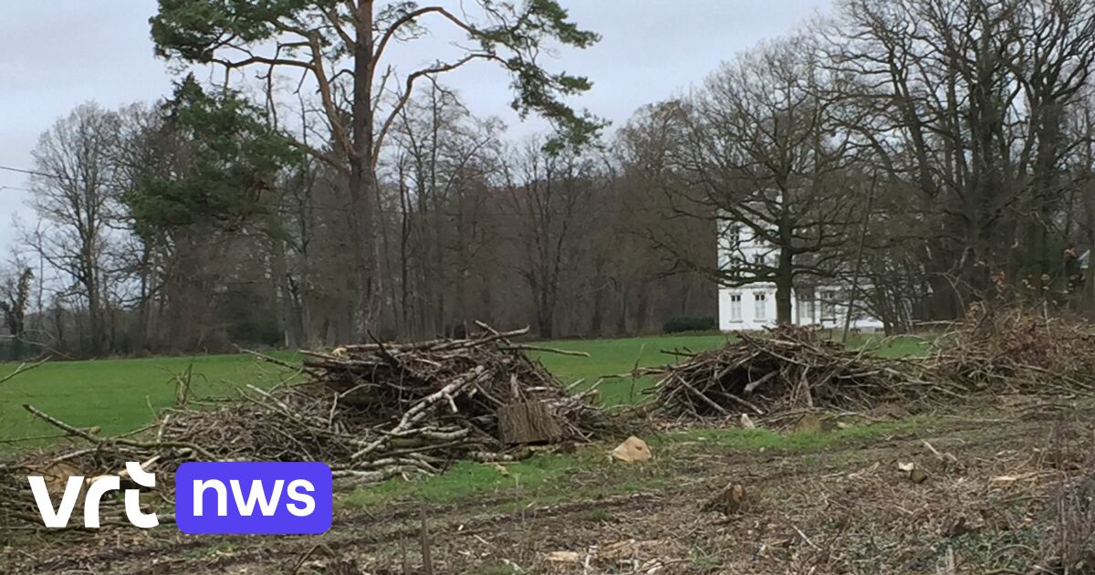Proces tegen beruchte kotbaas Manu Appeltans rond illegale kap van ...
