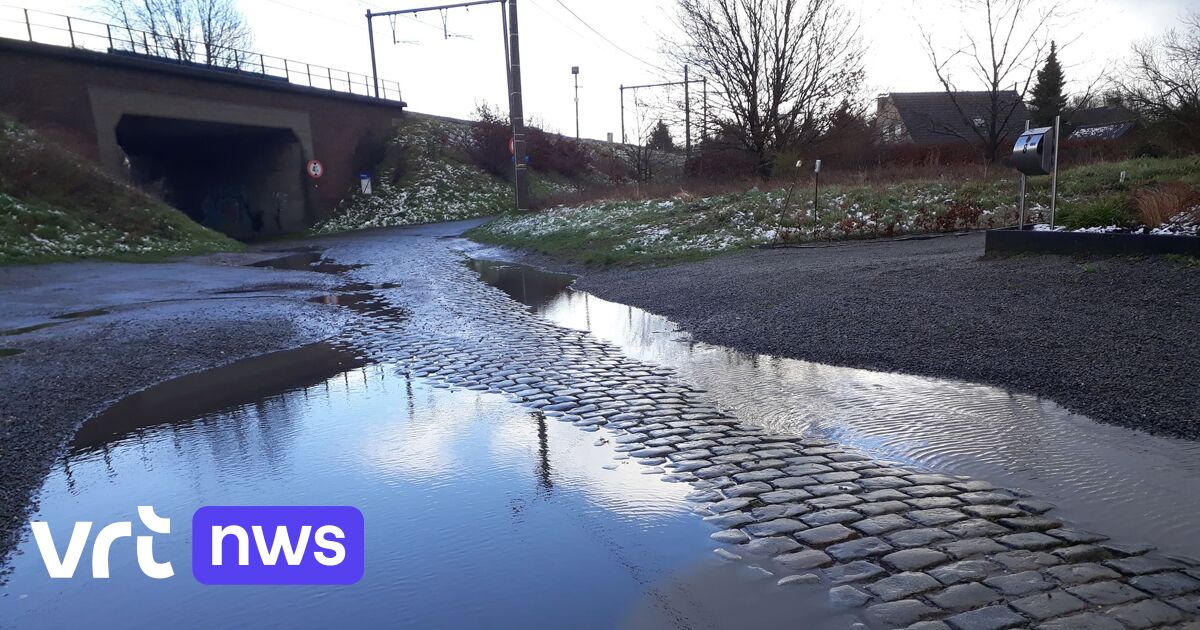 Buurtbewoners "slechtste straatje van Muizen" zijn erbarmelijke staat ...