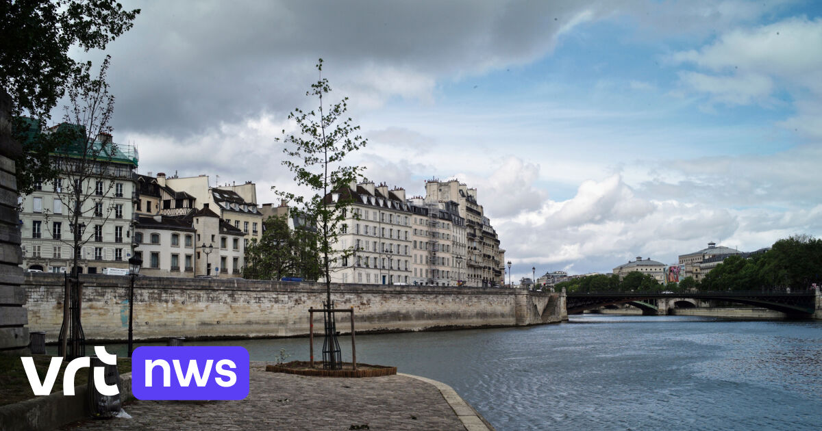 Zwemmen in de Seine in Parijs kan opnieuw vanaf 2025 | VRT NWS: nieuws