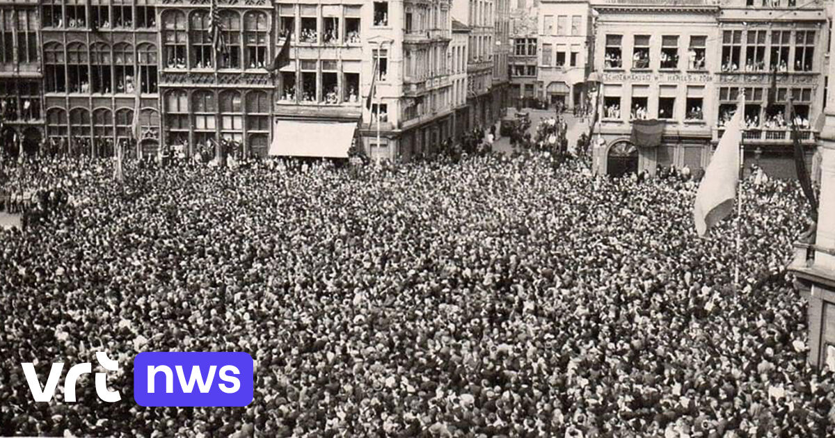 UA-rector Herman Van Goethem pleit voor officiële feestdag op 8 mei ...