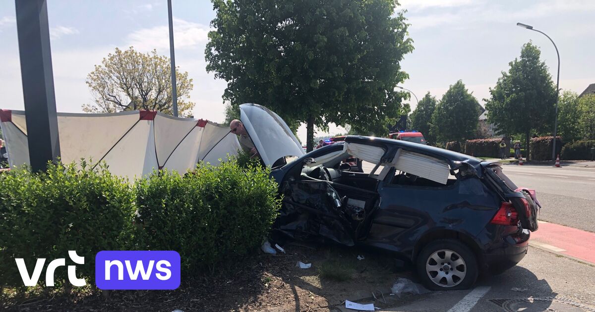 Motorrijder overleden bij ongeval in Zwalm | VRT NWS Nieuws