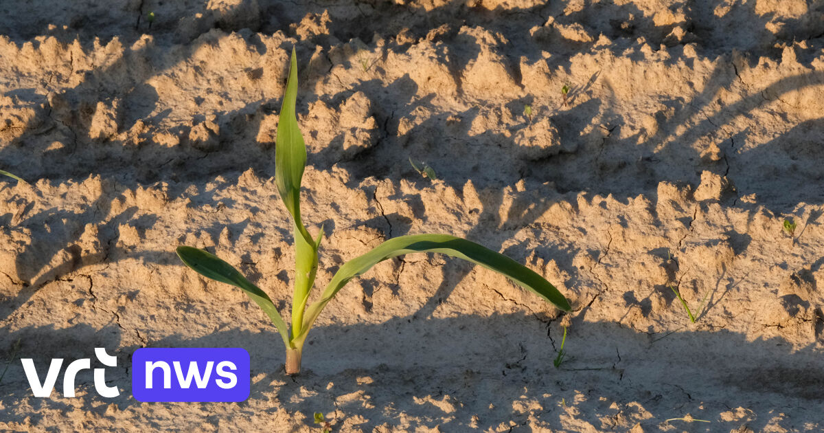 IN KAART - Waar in Vlaanderen gaat klimaatopwarming grootste impact ...