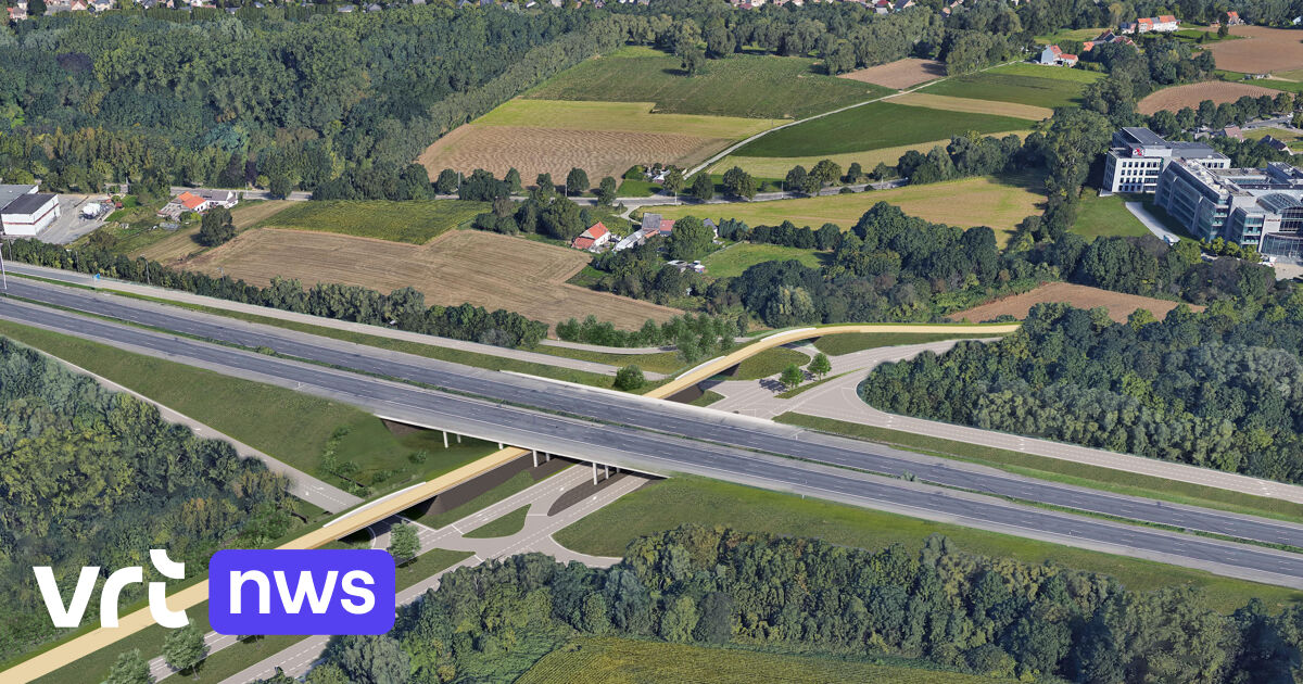 Fietsbrug moet op- en afrittencomplex Koningslo van Brusselse Ring veiliger maken | VRT NWS: nieuws