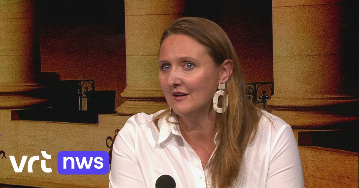 Rutten: la N-VA a demandé à l’Open VLD et au CD&V d’entrer dans un ...