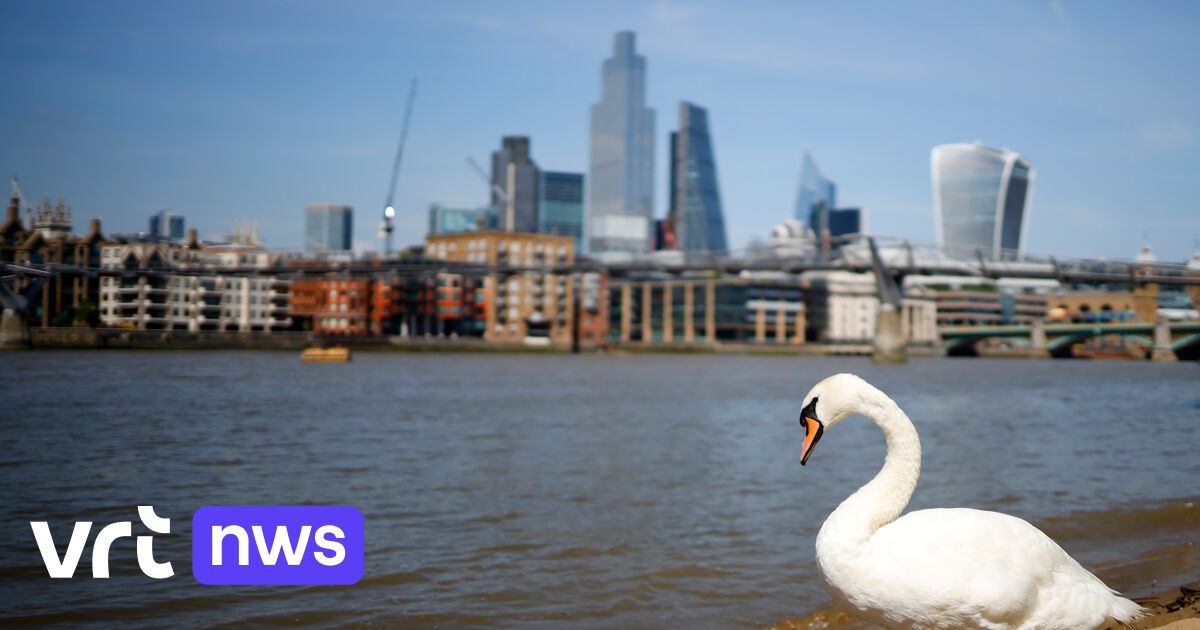 Door de Theems vloeien tot 94.000 microplastics per seconde: "Bij meest ...