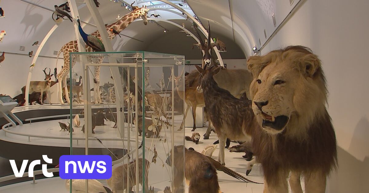 "Lebendiger Planet", die neue permanente Galerie des Instituts für ...