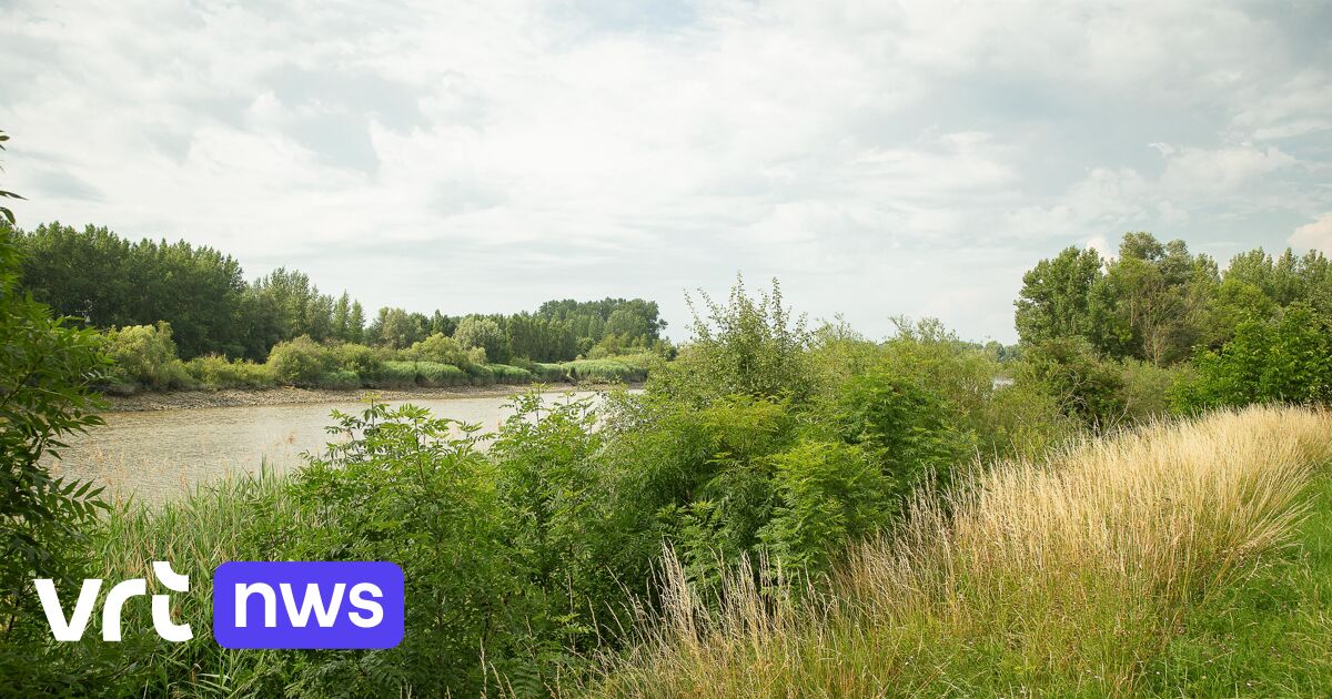 Vlassenbroek moet Vlaanderen mee beschermen tegen hoogwater: “Tandem ...