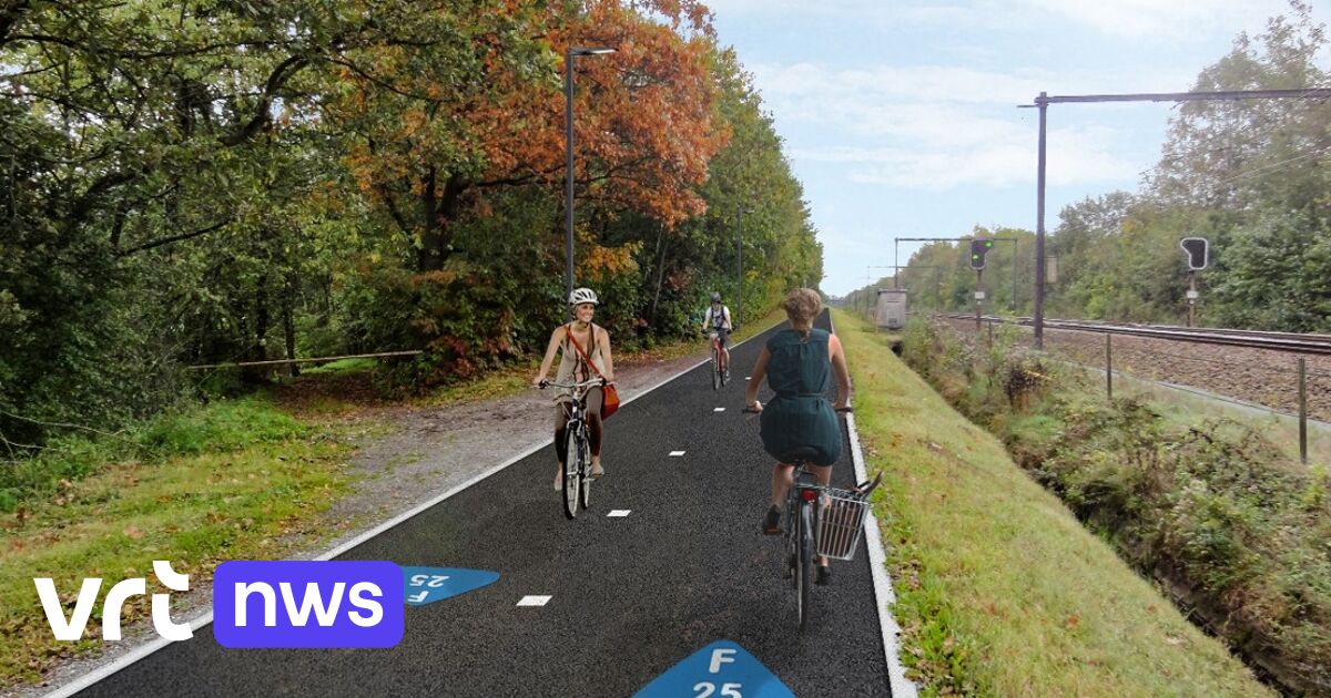 Fietssnelweg tussen Aarschot en Leuven ten vroegste klaar in 2023 | VRT NWS: nieuws