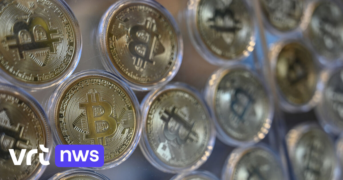Man (33) uit Lebbeke aangehouden voor oplichting met cryptomunten | VRT ...