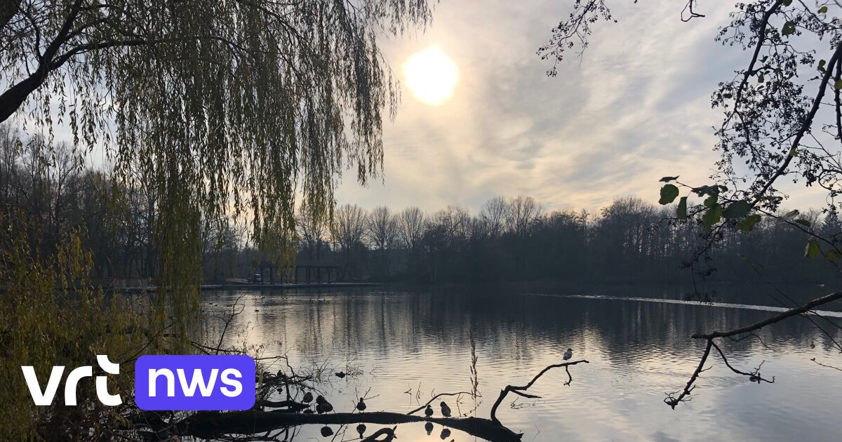 Provinciedomein in Kessel-Lo is voortaan een natuurreservaat: "Maar ...