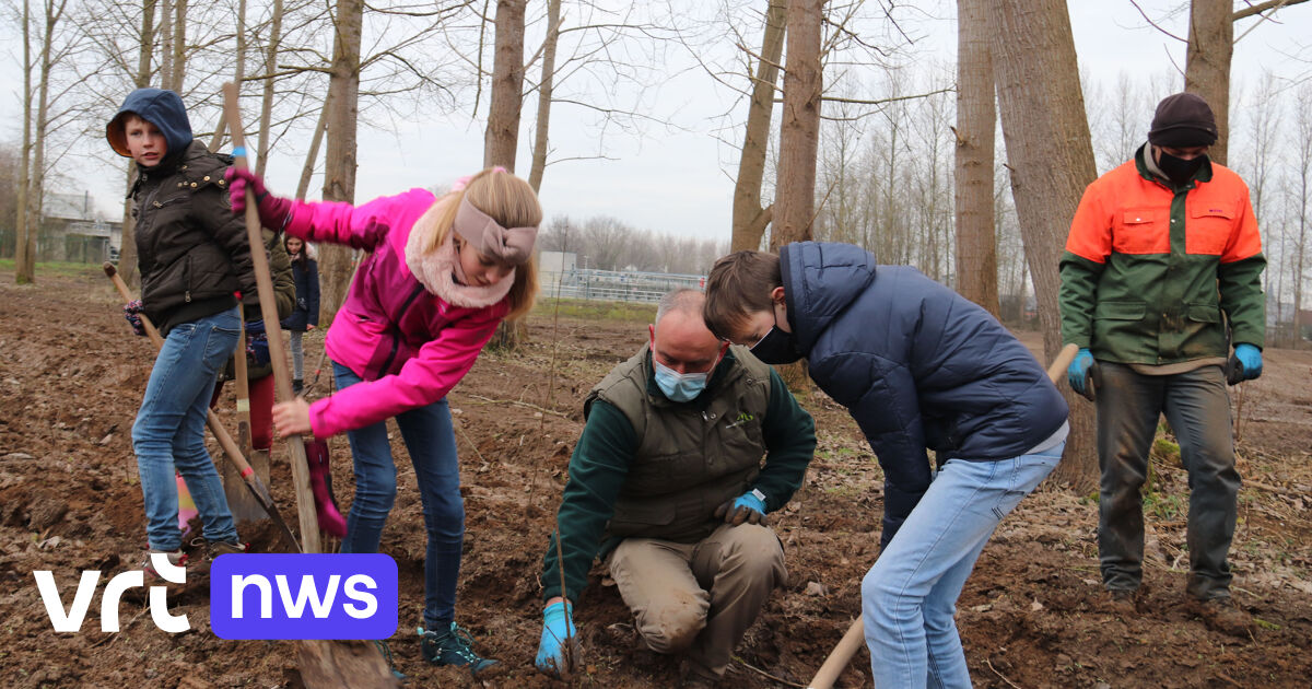"Plant je eigen bos": meer subsidies voor wie zelf een bos plant | VRT ...