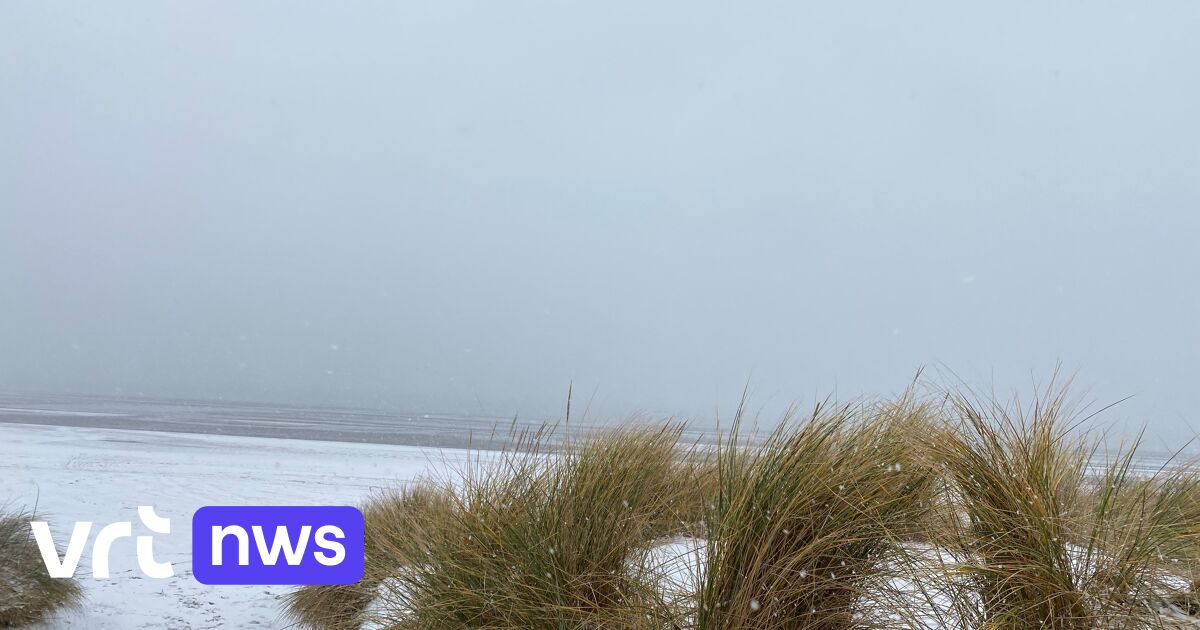 Between 2 and 8cm of snow across the country | VRT NWS: news