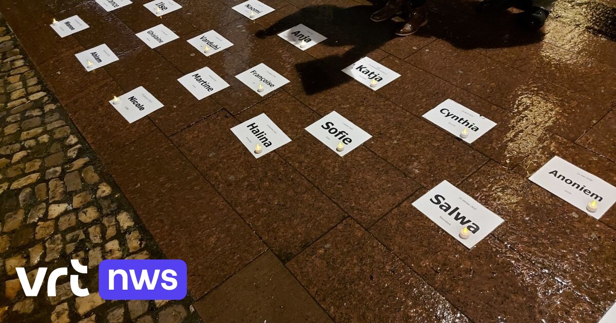 PVDA voert actie in Lier tegen geweld op vrouwen | VRT NWS: nieuws