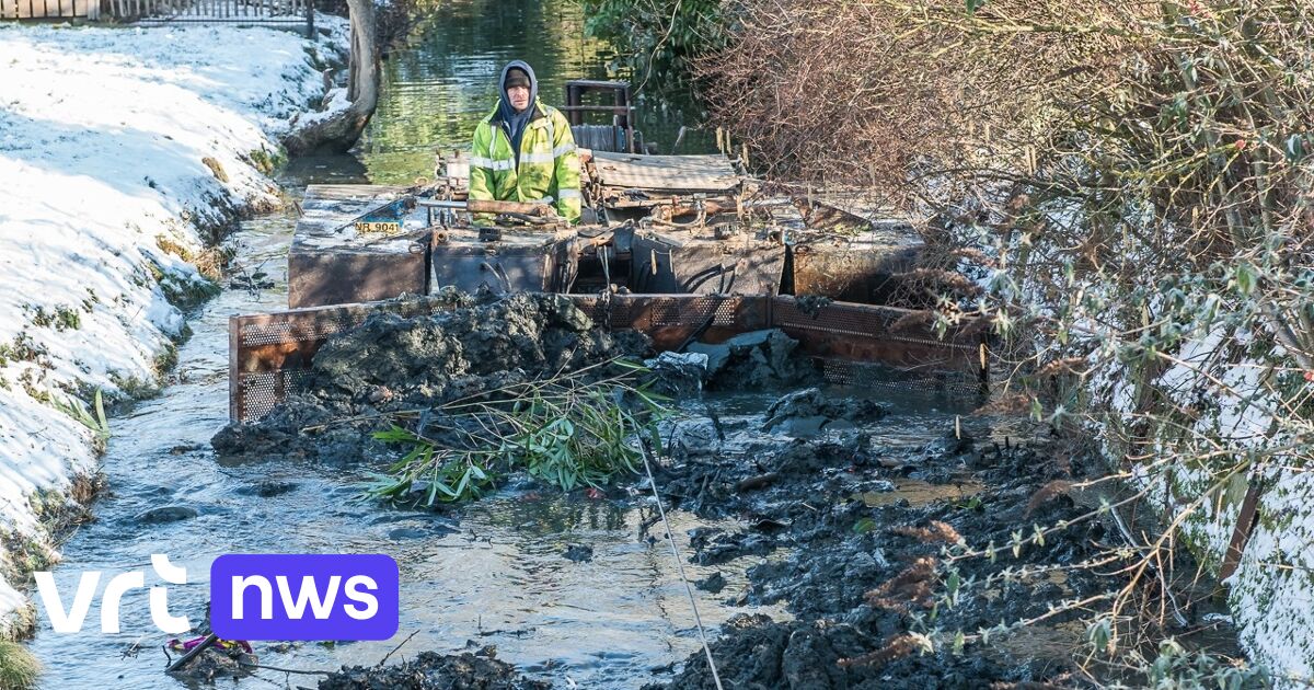 Slib ruimen op Grote Motte in Rillaar moet waterafvoer bij hevig regenval vergemakkelijken | VRT ...