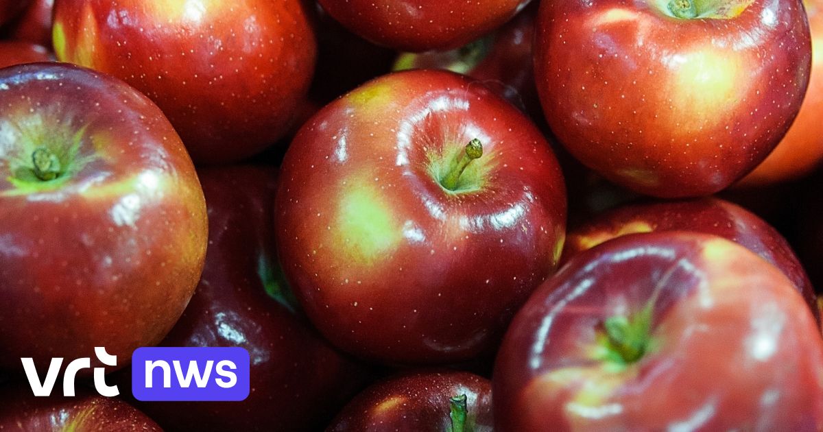 Waarom krijgen appels na een tijdje een vettig laagje op hun schil ...