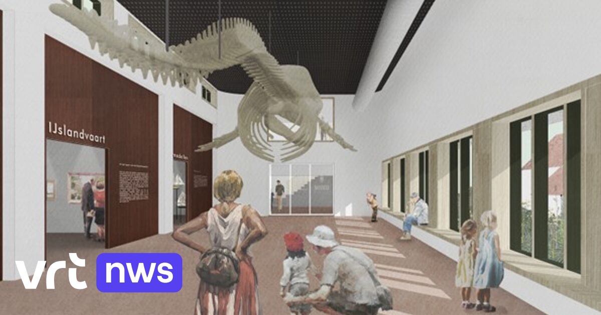 Skelet potvis Valentijn vanaf 2023 in vernieuwd Navigo-museum in ...