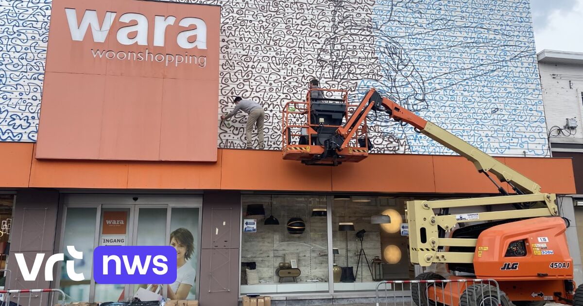 Stalenstraat in Genk zet opmars verder met nieuw graffitikunstwerk ...