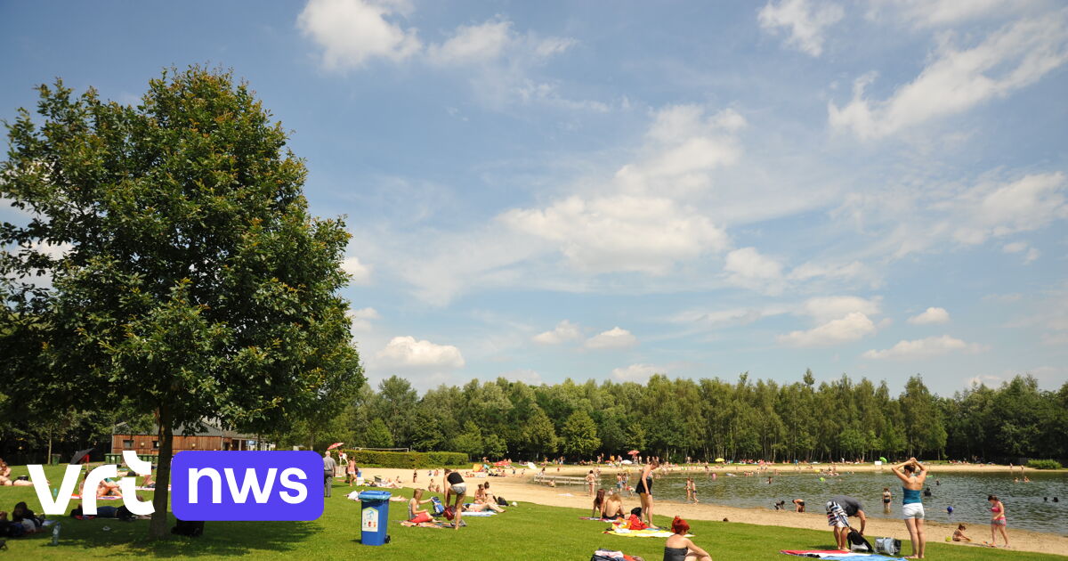 Rood water Plas Rotselaar komt van blauwalgen | VRT NWS: nieuws