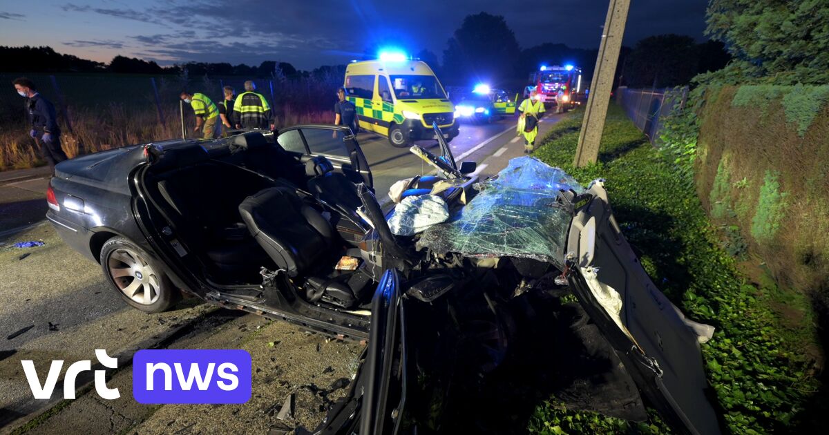 Twee zwaargewonden bij frontale botsing in Herenthout | VRT NWS: nieuws