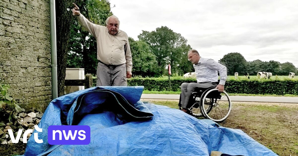 Schepen uit Peer pleit voor minder wolven in een afgebakend gebied, na ...