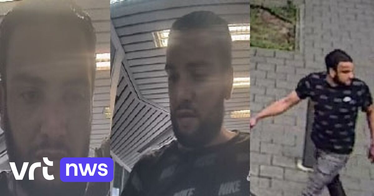 Antwerpse politie zoekt dader van diefstal met geweld | VRT NWS: nieuws
