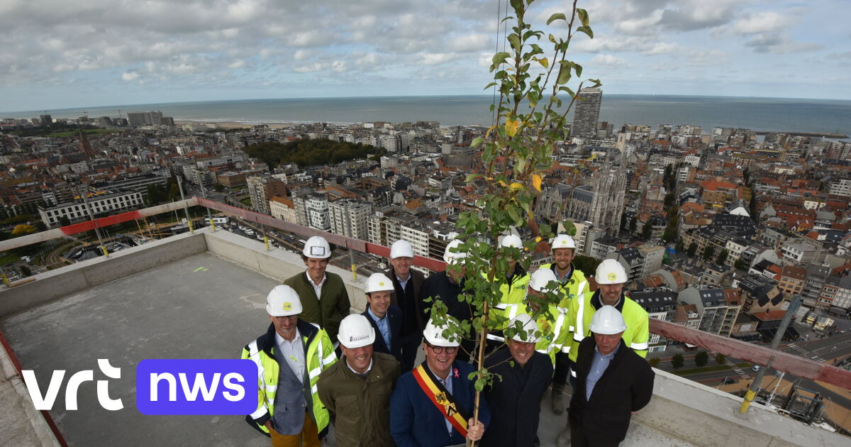 Meiboom gezet op dak van op een na hoogste gebouw van Oostende: Meiboom gezet op dak van op een na hoogste gebouw van Oostende: