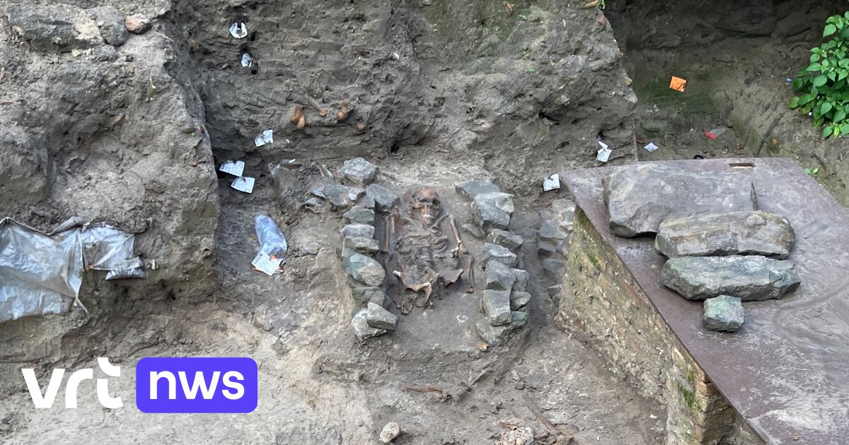 Graven van 1.000 jaar oud met menselijke vormen ontdekt in Brugge, oudste archeologische ...