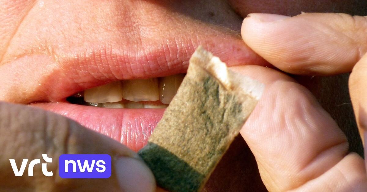 Customs seize scores of pots of illegal snus | VRT NWS: news