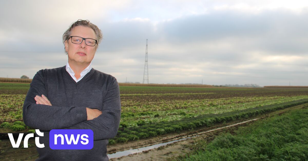 Geen milieuvergunning voor windturbines op de Kouter in Merchtem: "Ze ...