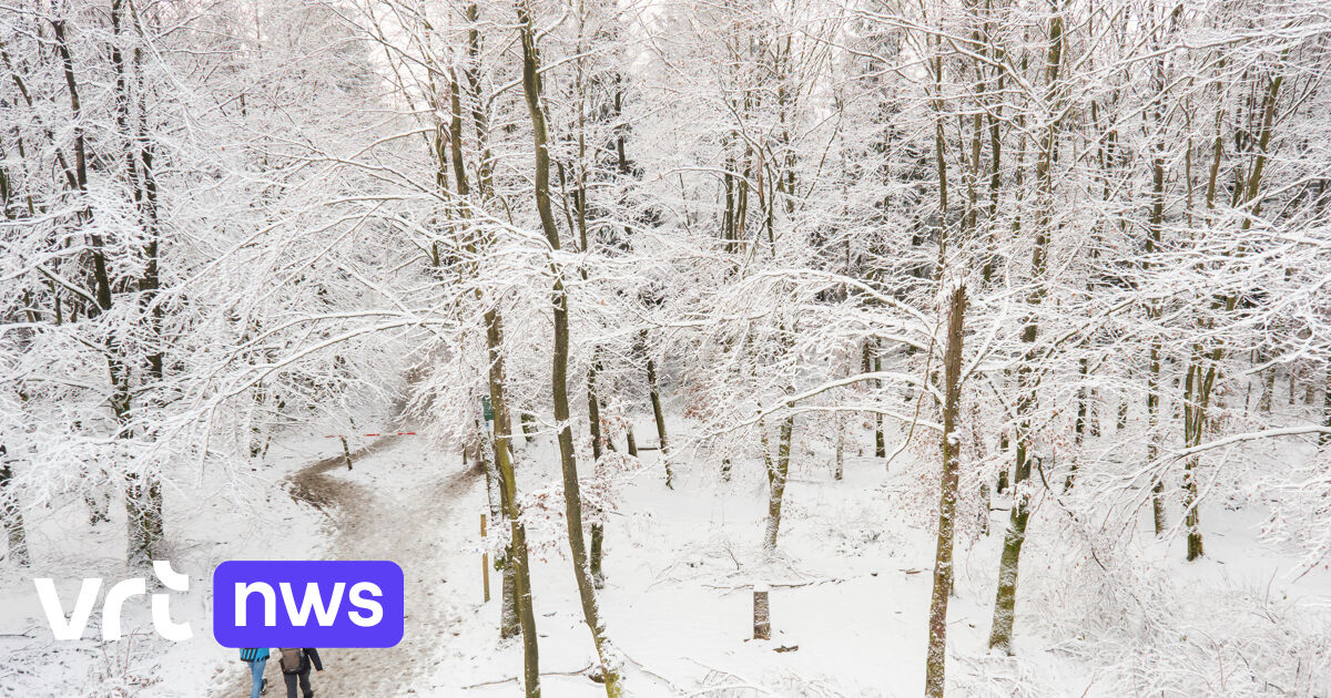 A chance of more wintery showers in Flanders and more snow in the ...