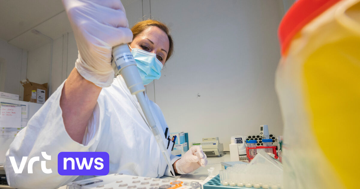Coronavirus infections more than double in just one week | VRT NWS: news