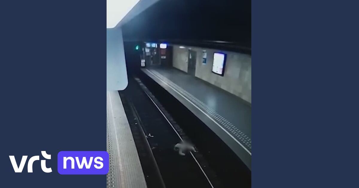 Metro incident: “He’s as shocked as anybody else” | VRT NWS: news