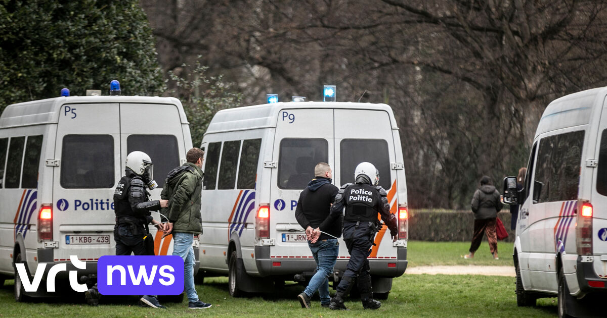 Balans na rellen bij betoging: 228 mensen opgepakt, 11 gerechtelijk aangehouden, geweld tegen ...