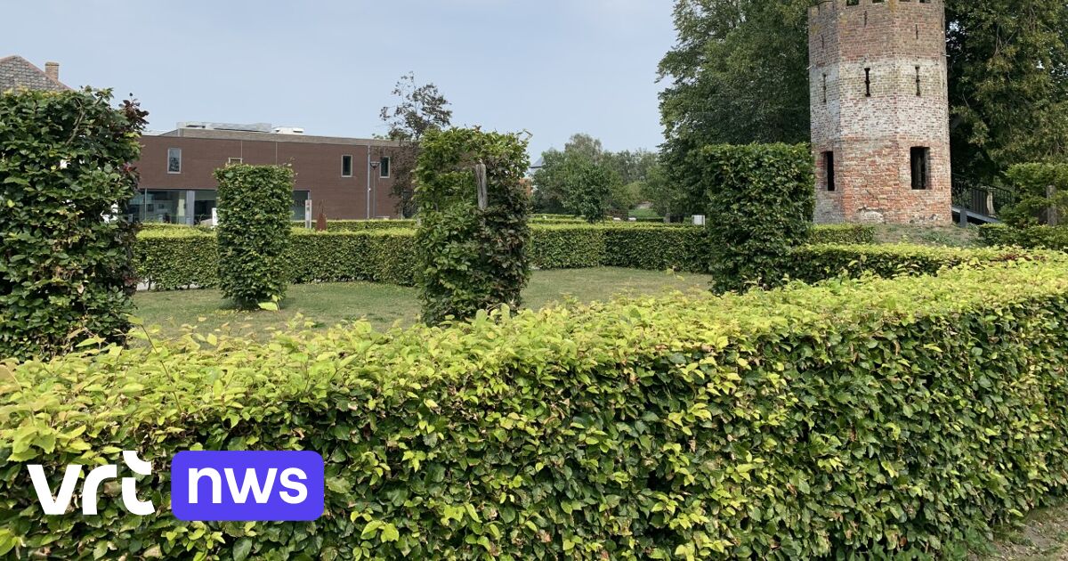 Nieuwe streekmarkt met 100 procent West-Vlaamse producten in Oudenburg ...