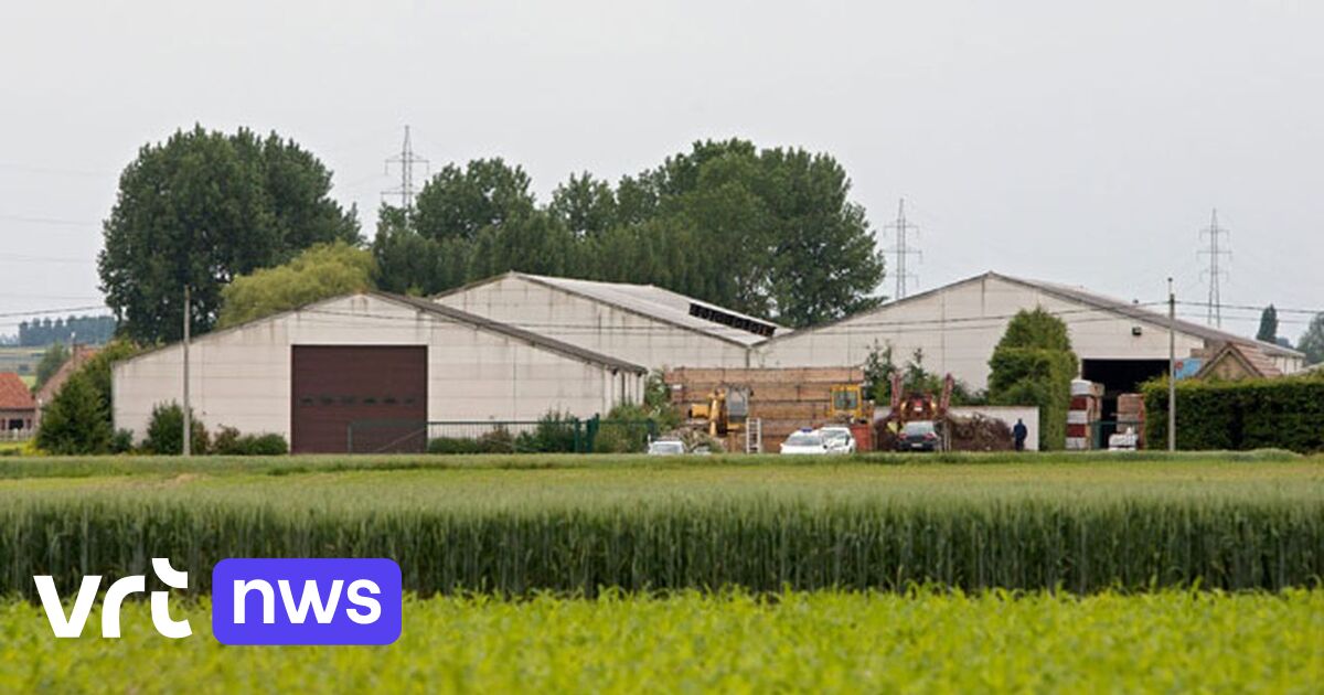Cannabisboer Patrick Lagrou uit Zonnebeke die 5 jaar cel kreeg, krijgt ...